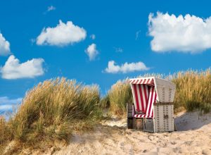 Urlaubsfeeling im Garten mit Strandkorb Sylt - Deko & Feiern - ZENIDEEN