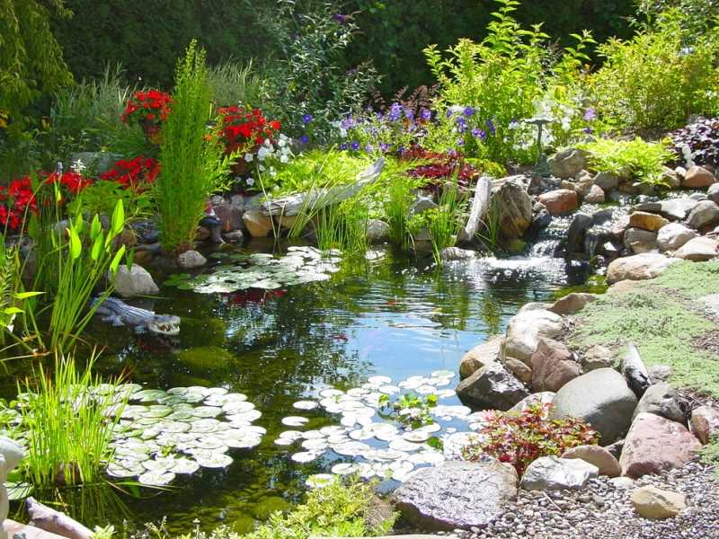 55 Gartenteich Bilder lassen Sie für Ihren Traumgarten inspirieren ...
