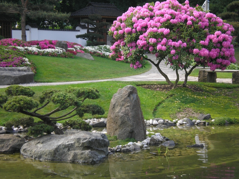 Feng Shui Garten – 40 kreative Gestaltungsideen