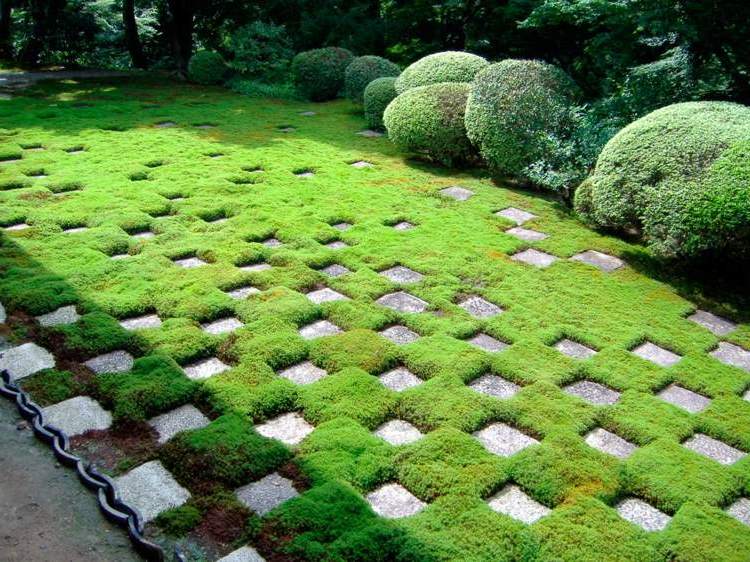 Wozu klassische Bodendecker? - Garten, Haus & Garten - ZENIDEEN