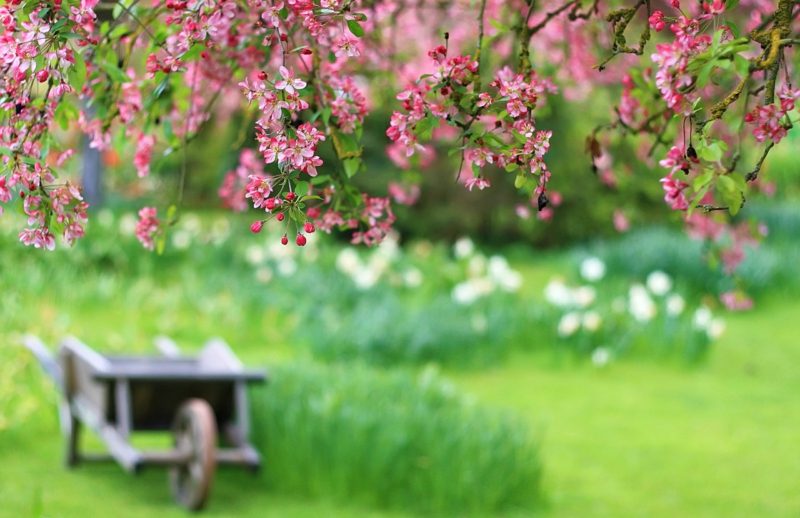 Frühlingsspaßaktivitäten und einige Frühlingsbilder - Reisen&Urlaub ...