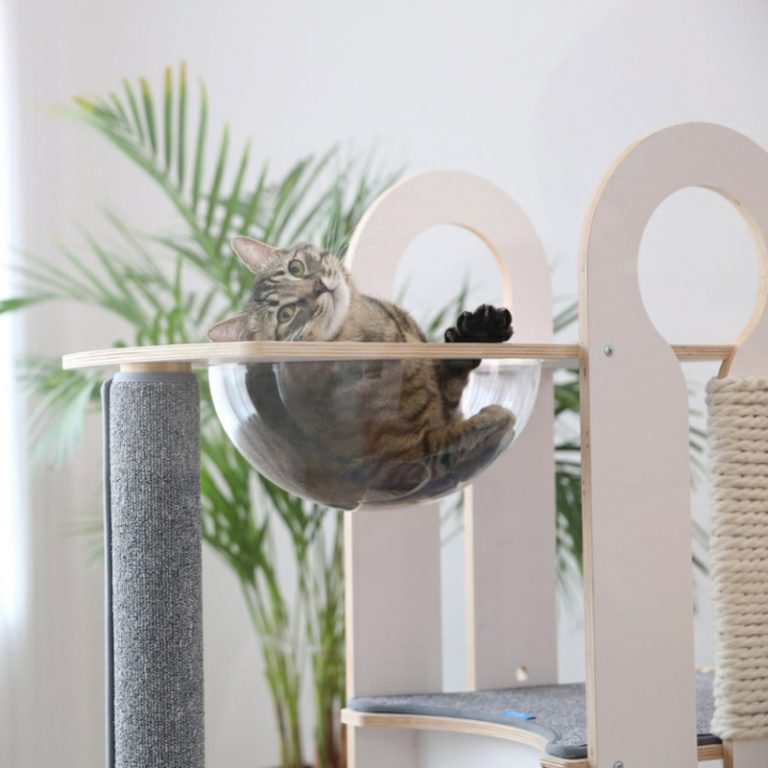 Katzenbaum selber bauen: tolle DIY-Idee für Ihr Haustier